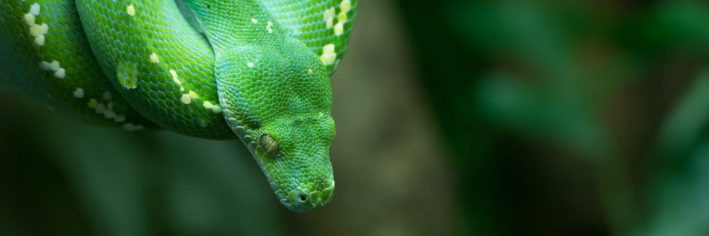 Interaktive Datenvisualisierung In Python Mit Plotly Schnell Und Einfach